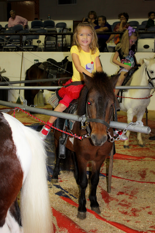 Milla's Many Adventures: Shriner Circus 2012