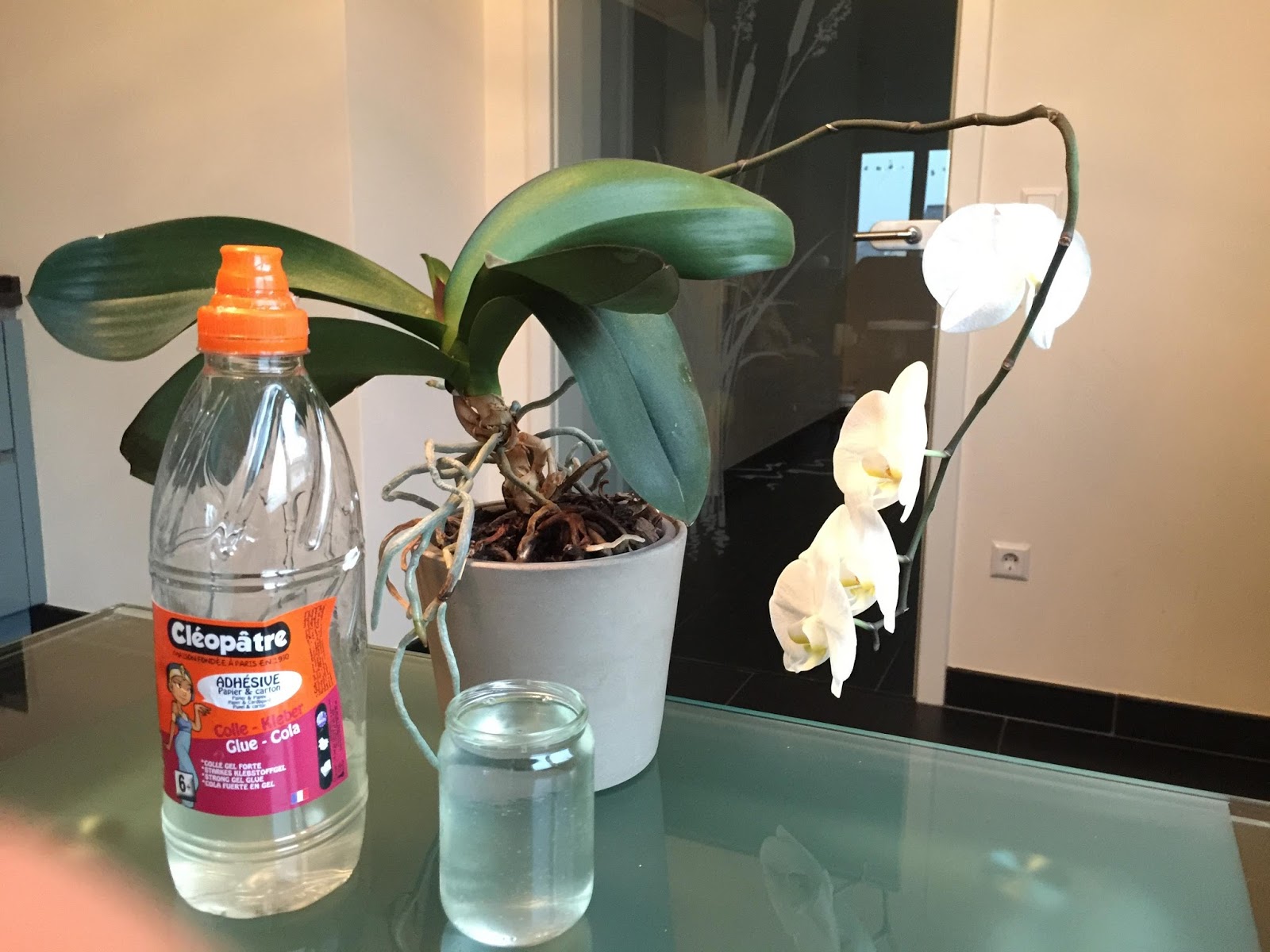 Les recettes de la débrouille: Bocal de retour au calme