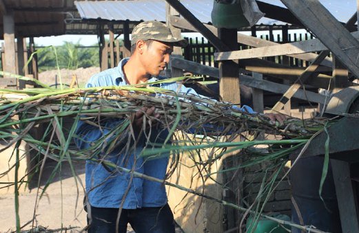 Belajar Setakat Darjah 6, Namun Pendapatan Tahunan Mencecah RM1 Juta ...