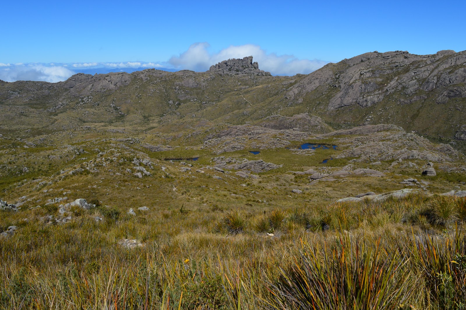 Os caminhos da neve : Pedra do Altar ( Parque Nacional de Itatiaia )