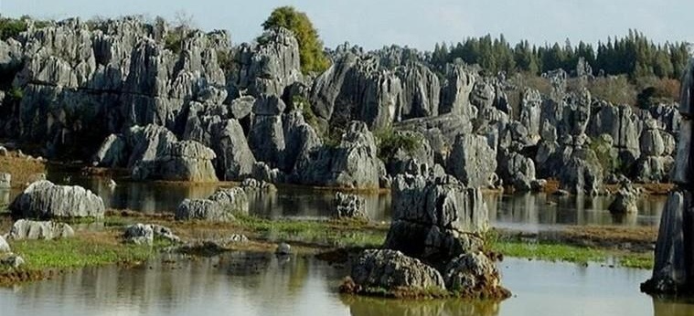 GENERAL BLOG: Amazing Stone Forest Nature Photography
