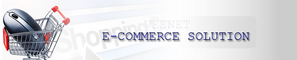 veenet technological service: OUR SERVICE