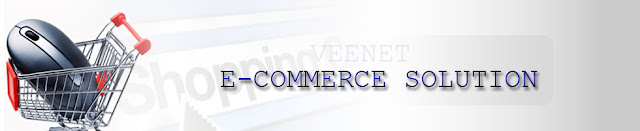 veenet technological service: OUR SERVICE