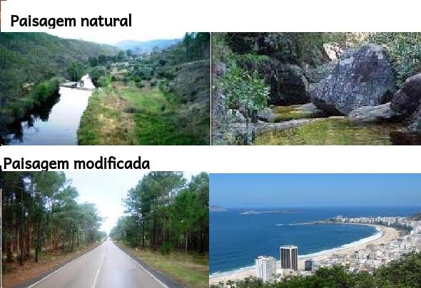 MURAL PALAS 2015: AMBIENTE NATURAL E MODIFICADO