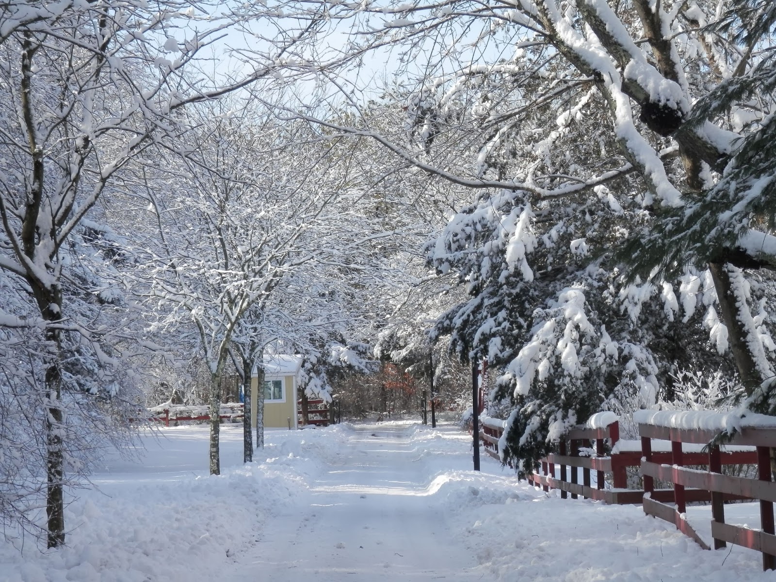 Watercolors by Joan 2: Longwood Estate in the Snow