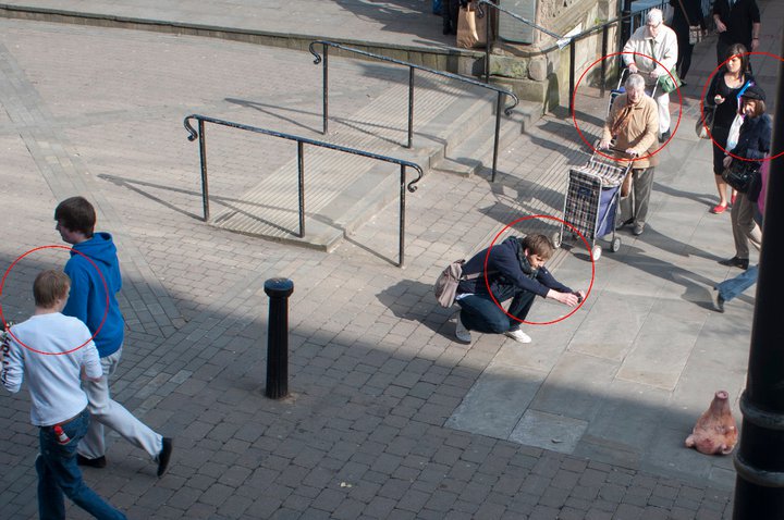 Harry Scott Photography: The Commission