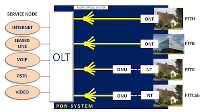 Optical Line Terminal (OLT)
