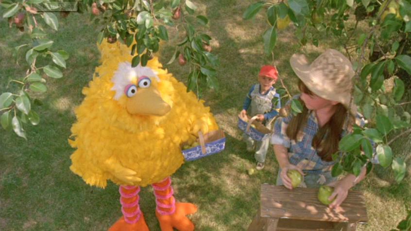 A Much Deeper Level: Follow That Bird, Part 3: Down on the Farm