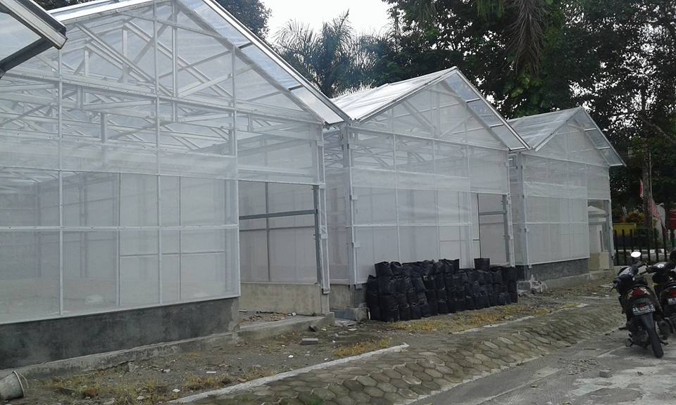 Terbaru 39+ Hidroponik Screen House