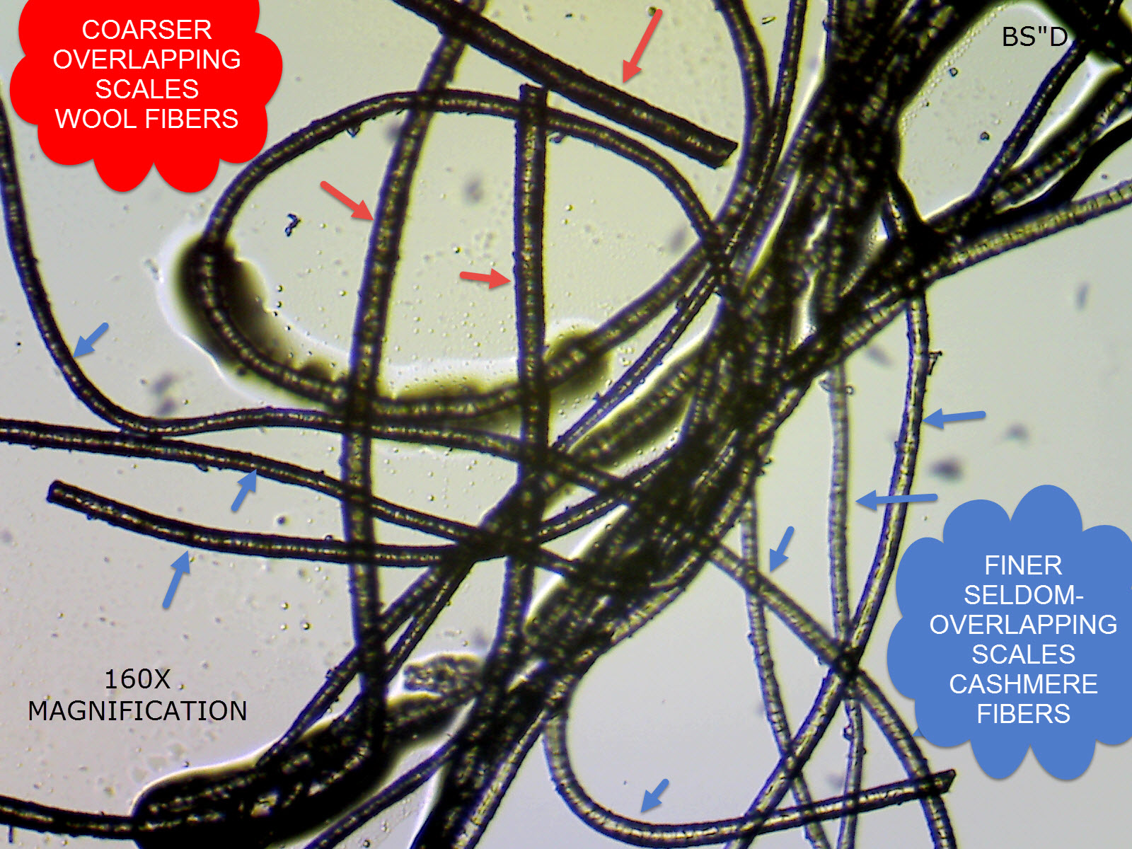 How to Distinguish between Wool, Cashmere and Mohair Fibers - Do It ...