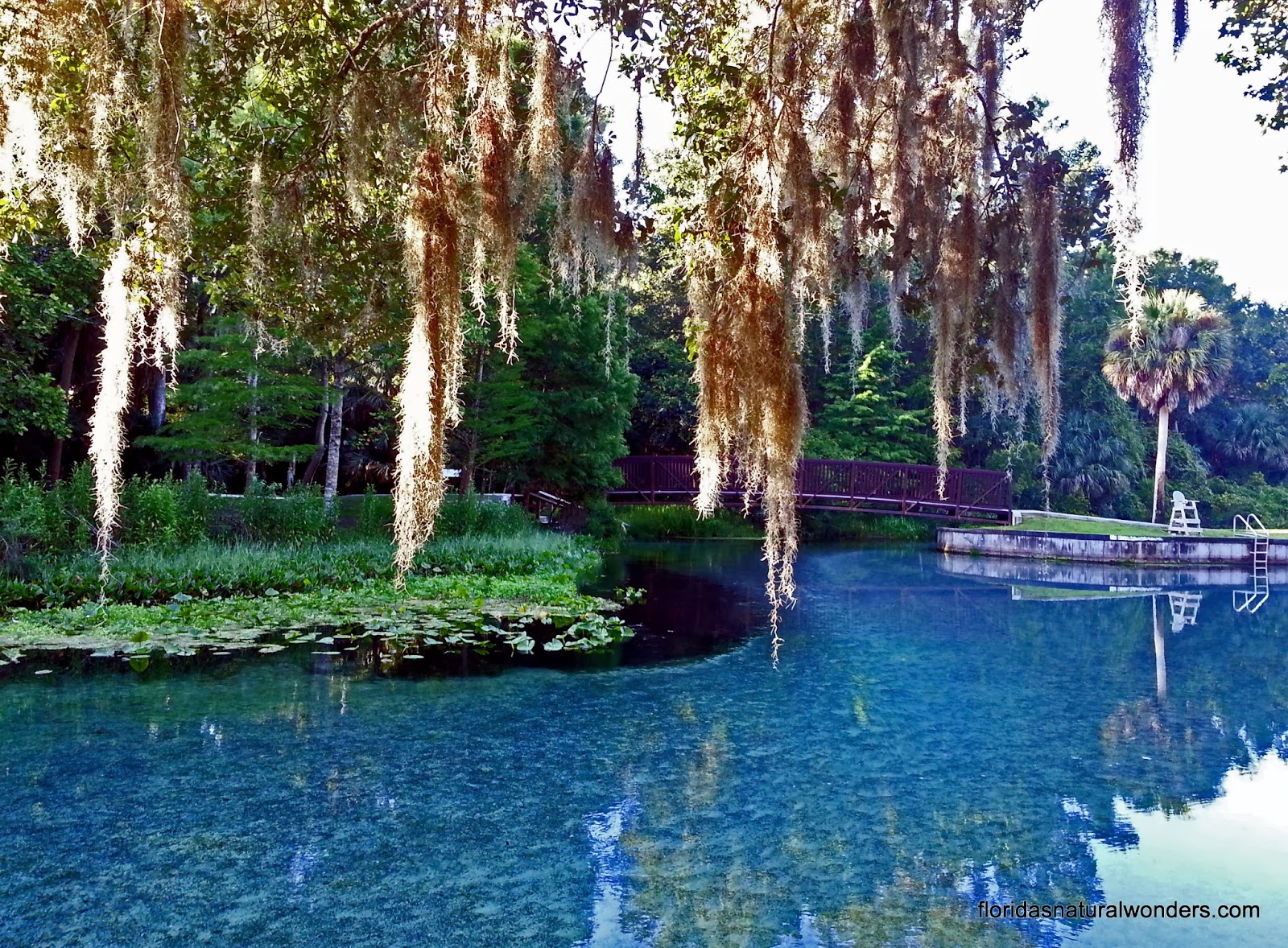 The Florida Bucket List for Nature Lovers: Florida - King of Springs