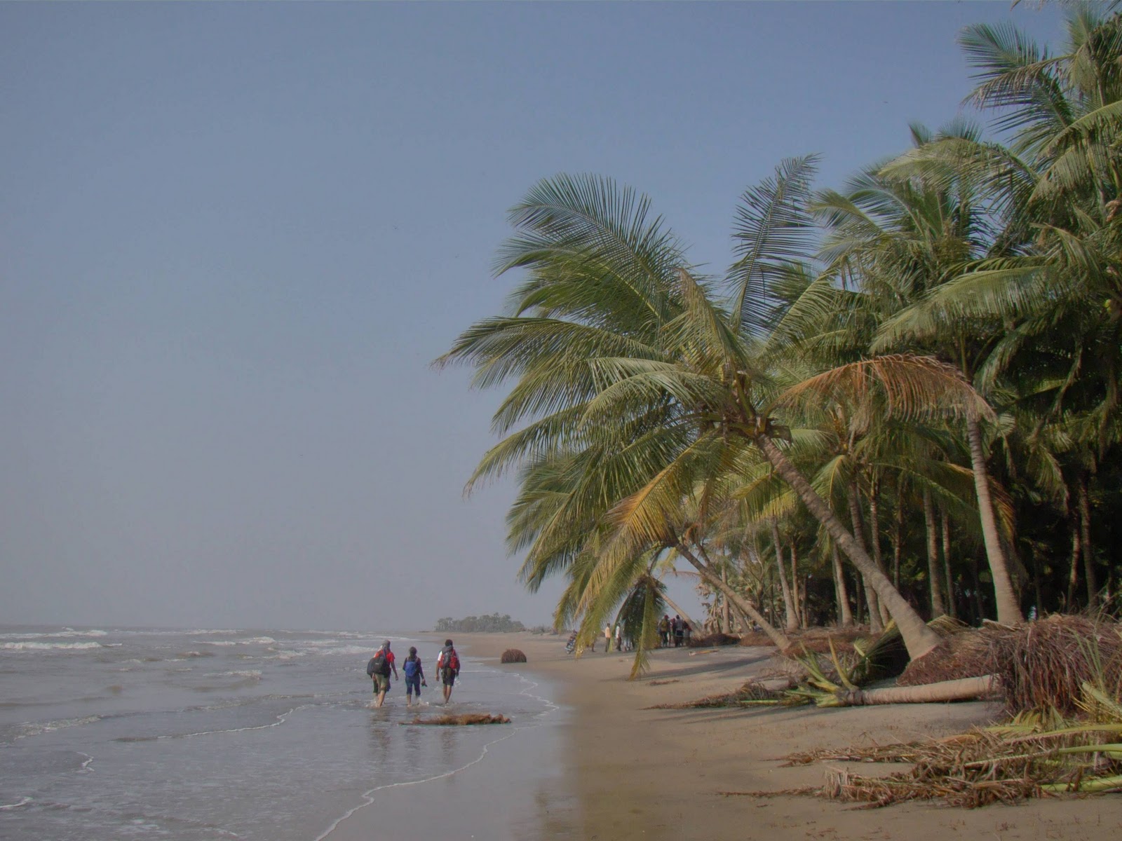 Crabby: East Godavari Beach Trek : Antarvedi to Karavaka