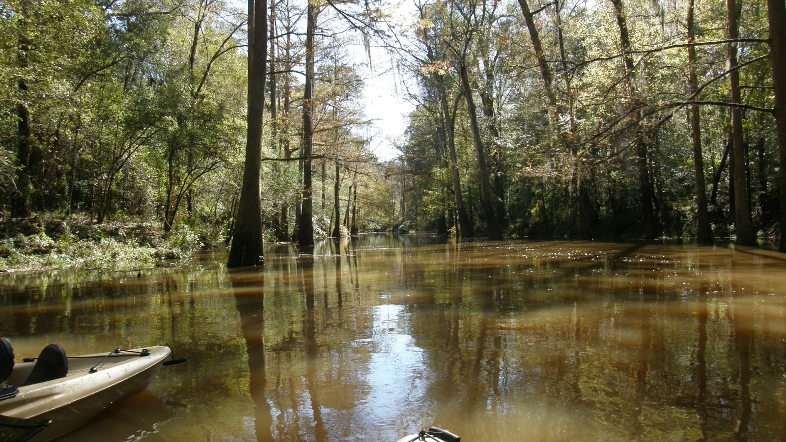 Kints: The Unfathomed: Big Swamp and Big Lake, 22 November 2015