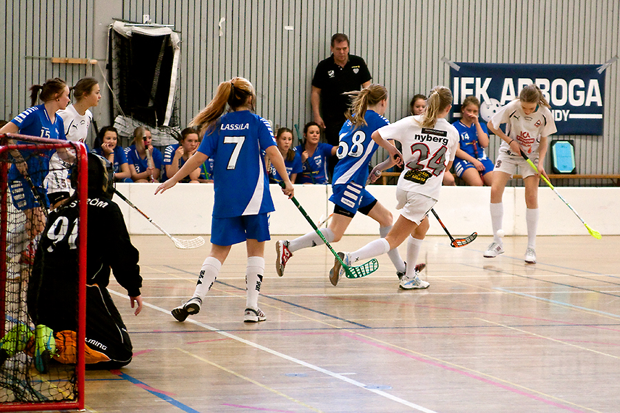 Foto av Hanna: Innebandy