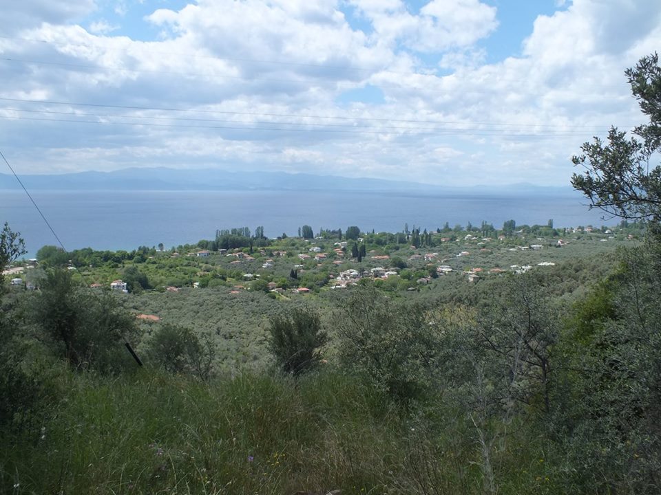 Walking in Pelion: Milies-Boufa