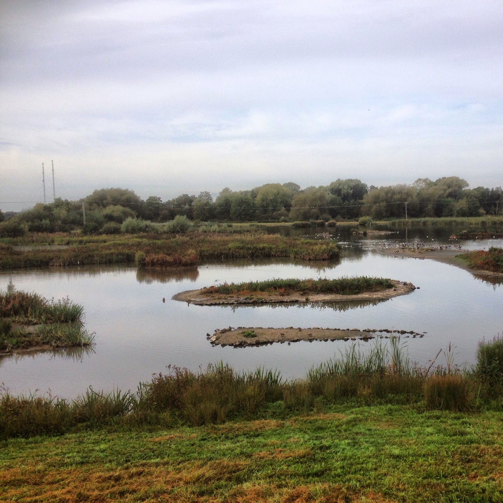 Out4aduck - A record of my birding year: Autumn birding at Upton Warren