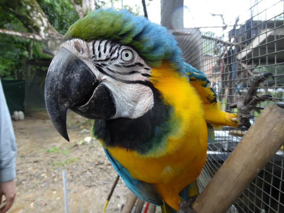 In a gentle way, you can shake the world: Inti Wara Yassi - Parque Machia