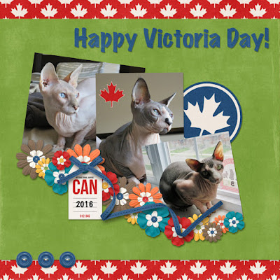 Chat Aux Sphynx: Happy Victoria Day!