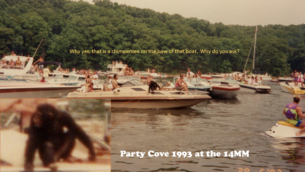 Ozark Dragon: Party Cove 1993