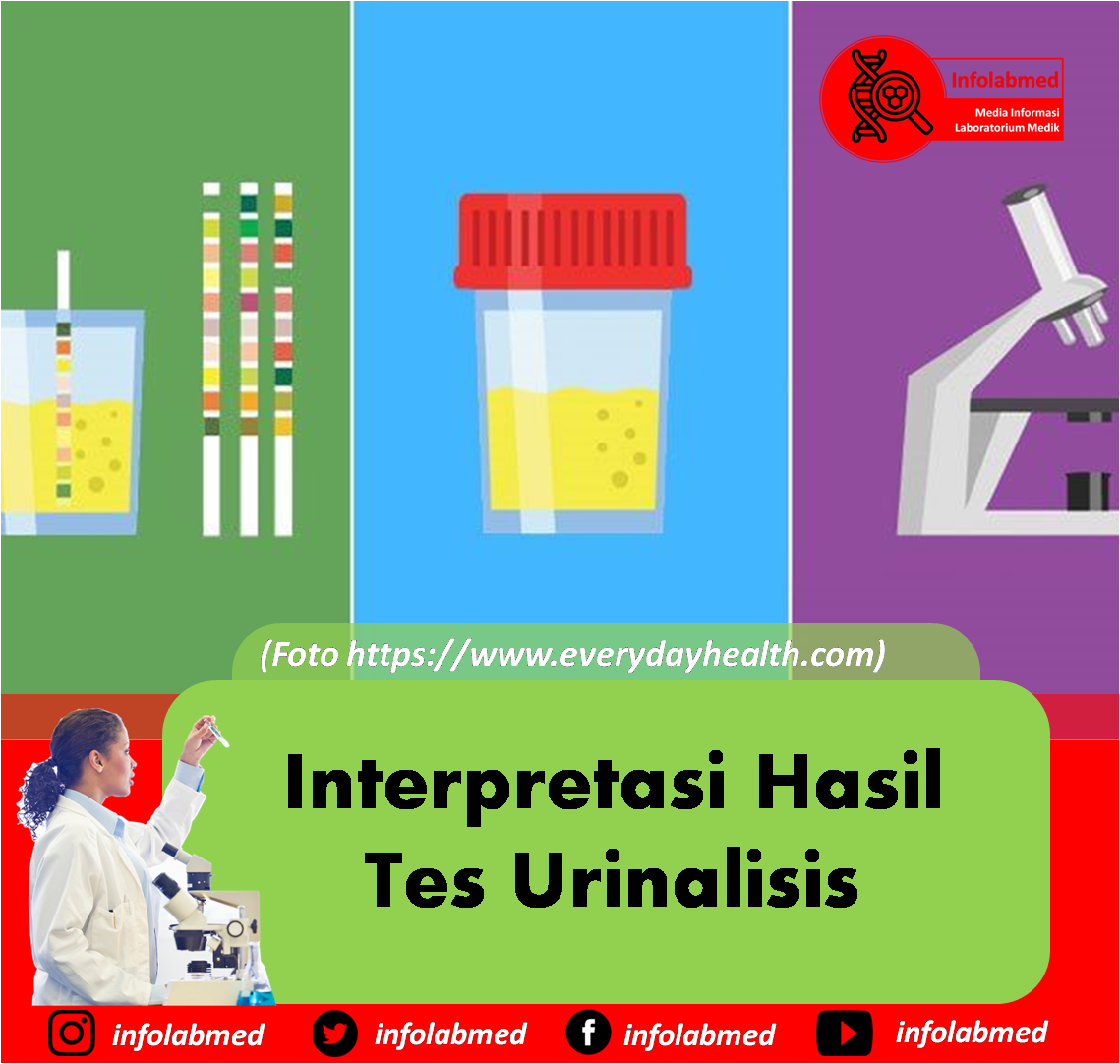 Interpretasi Hasil Tes Urinalisis