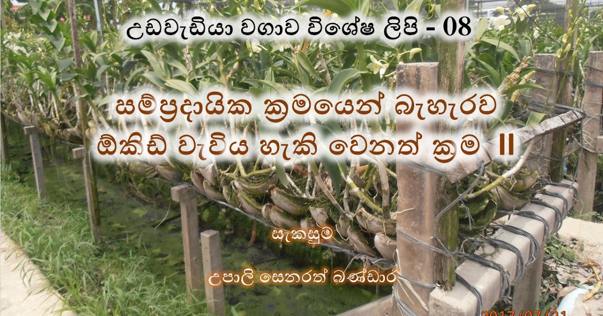 Damsi Orchids E - Learning Center