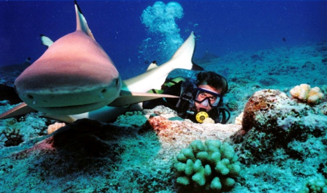 Pantar Strait Sea Park ~ Malay Travel and Tour