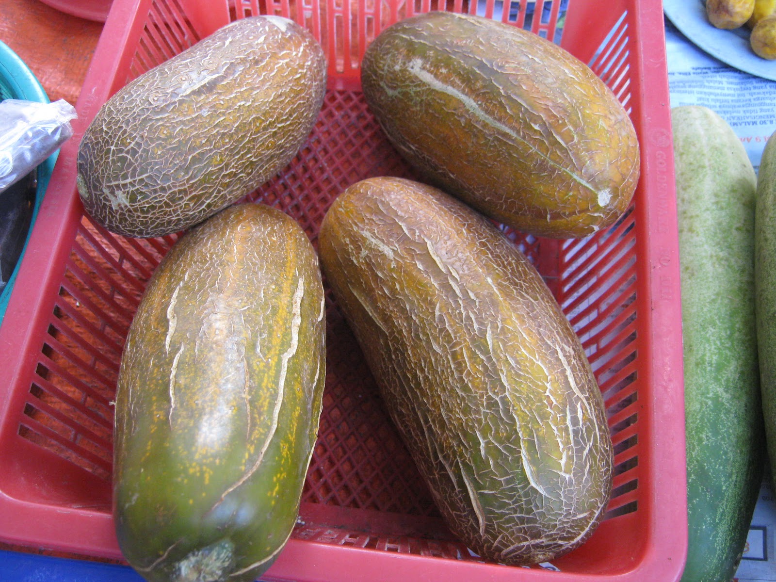 Chitty Boy and Me: Old Cucumber @ Timun Tua