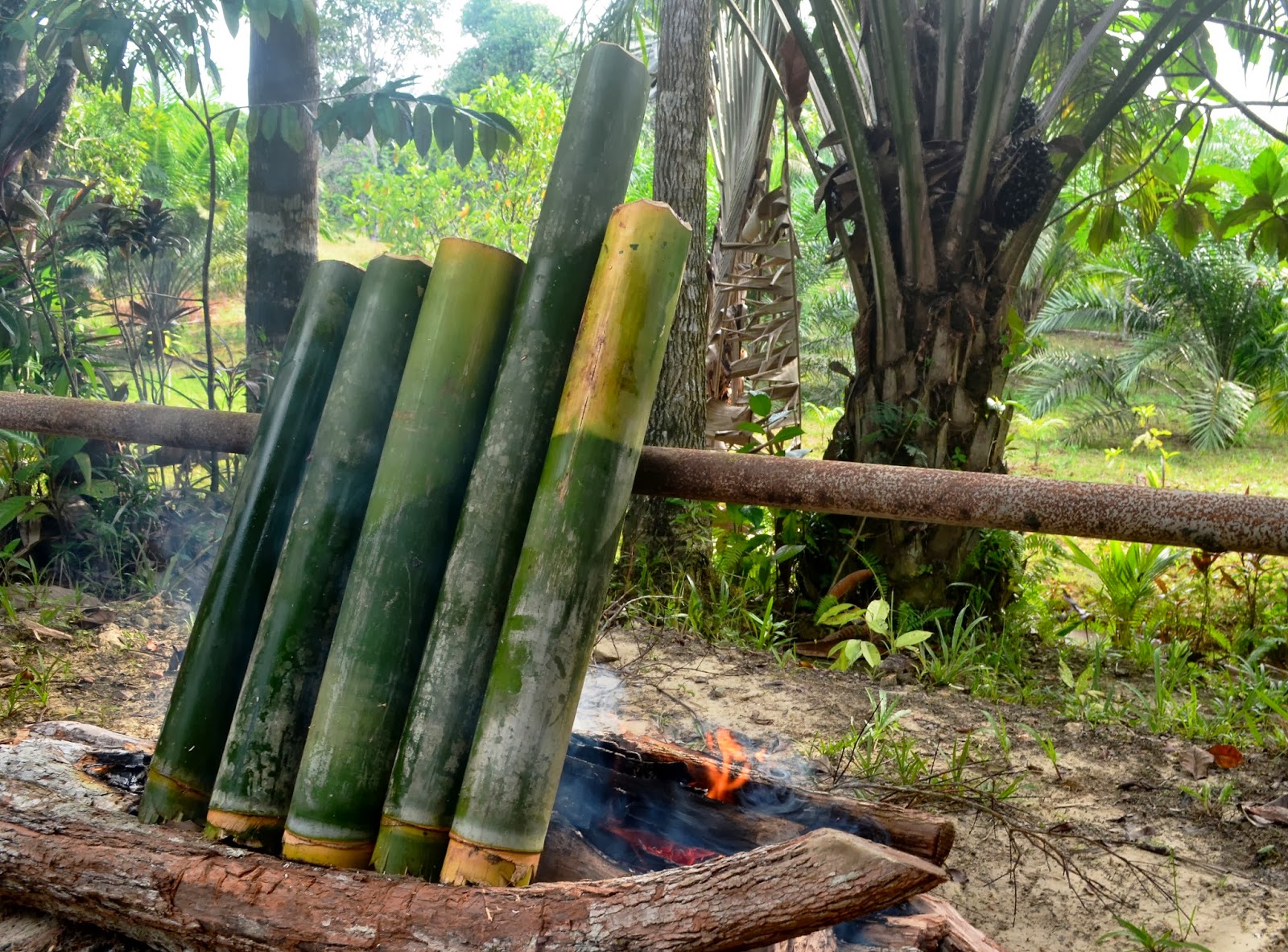 The Kambatik Park, Bintulu.: The making of chicken cooked in bamboo or ...