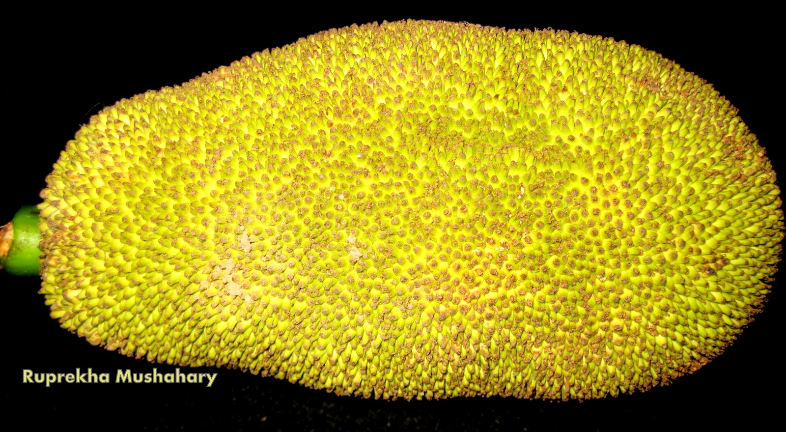 Feelings: Kothalor Aanja