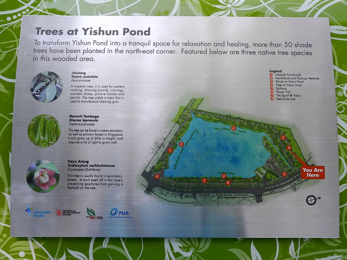 Fahrenheit minus 459 ( absolute zero): Revisiting Yishun .. Pond and Park