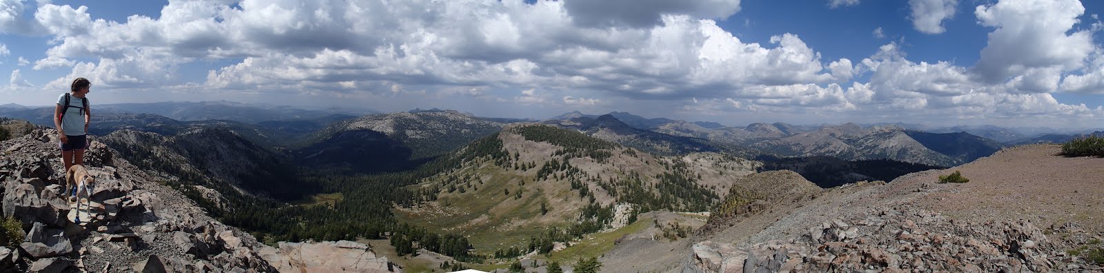 NorCal Dog Trails: Pacific Valley to Bull Run Peak