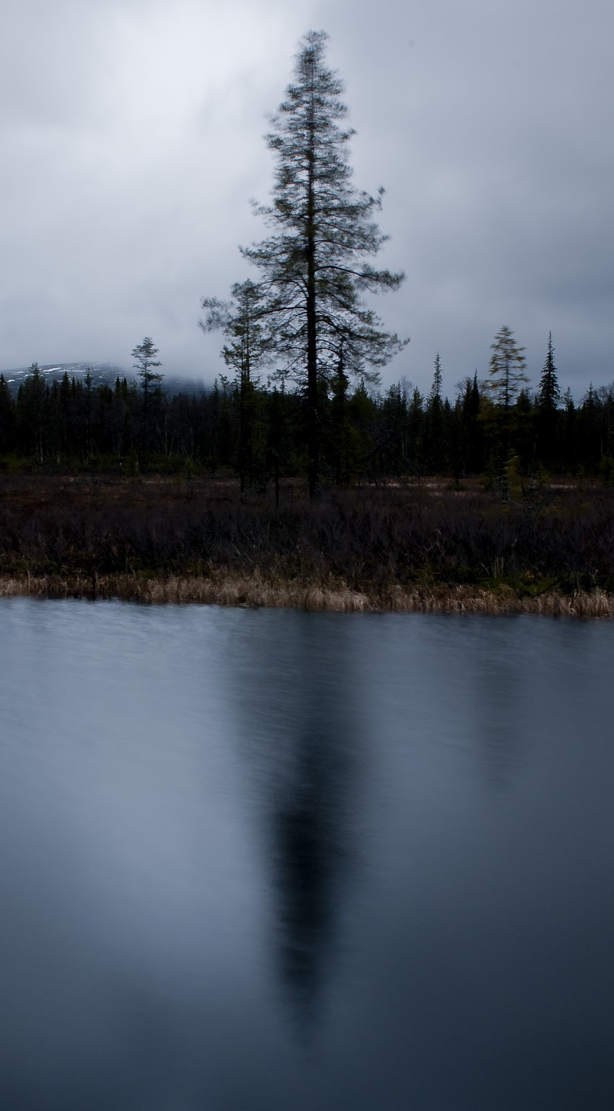 Lappi lokakuussa | Kernaasti Kuvia