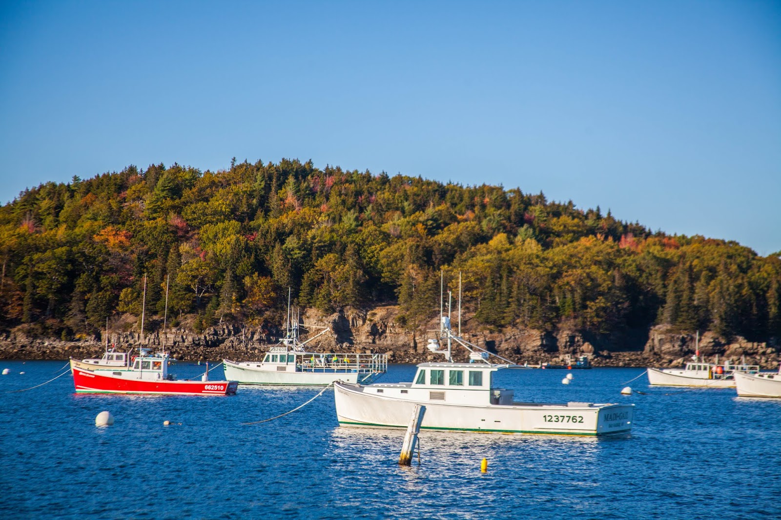 My Musings: Sailing in Bar Harbor