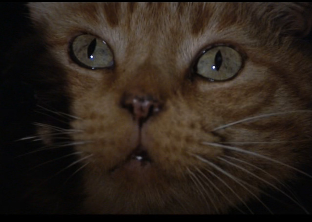 The United Federation of Charles: Alien (1979) review