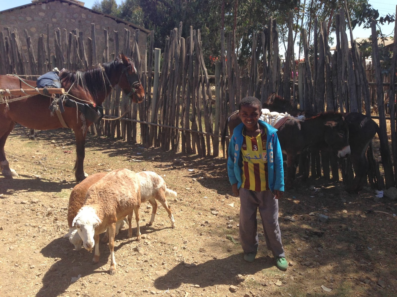 Missions trip to Sendafa, Ethiopia: Sendafa, Ethiopia January 2014