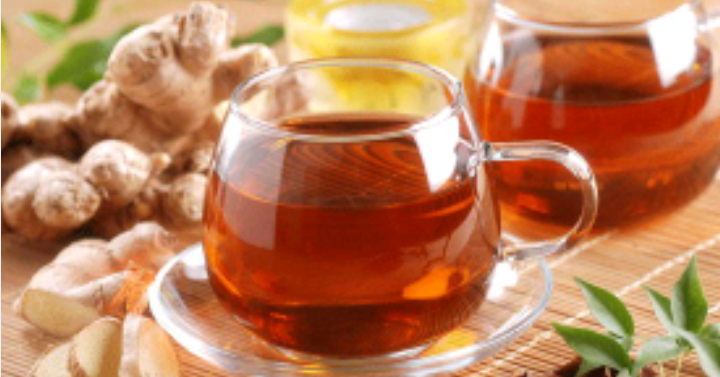 Panjera Isotonik ( Isotonic Panjera )