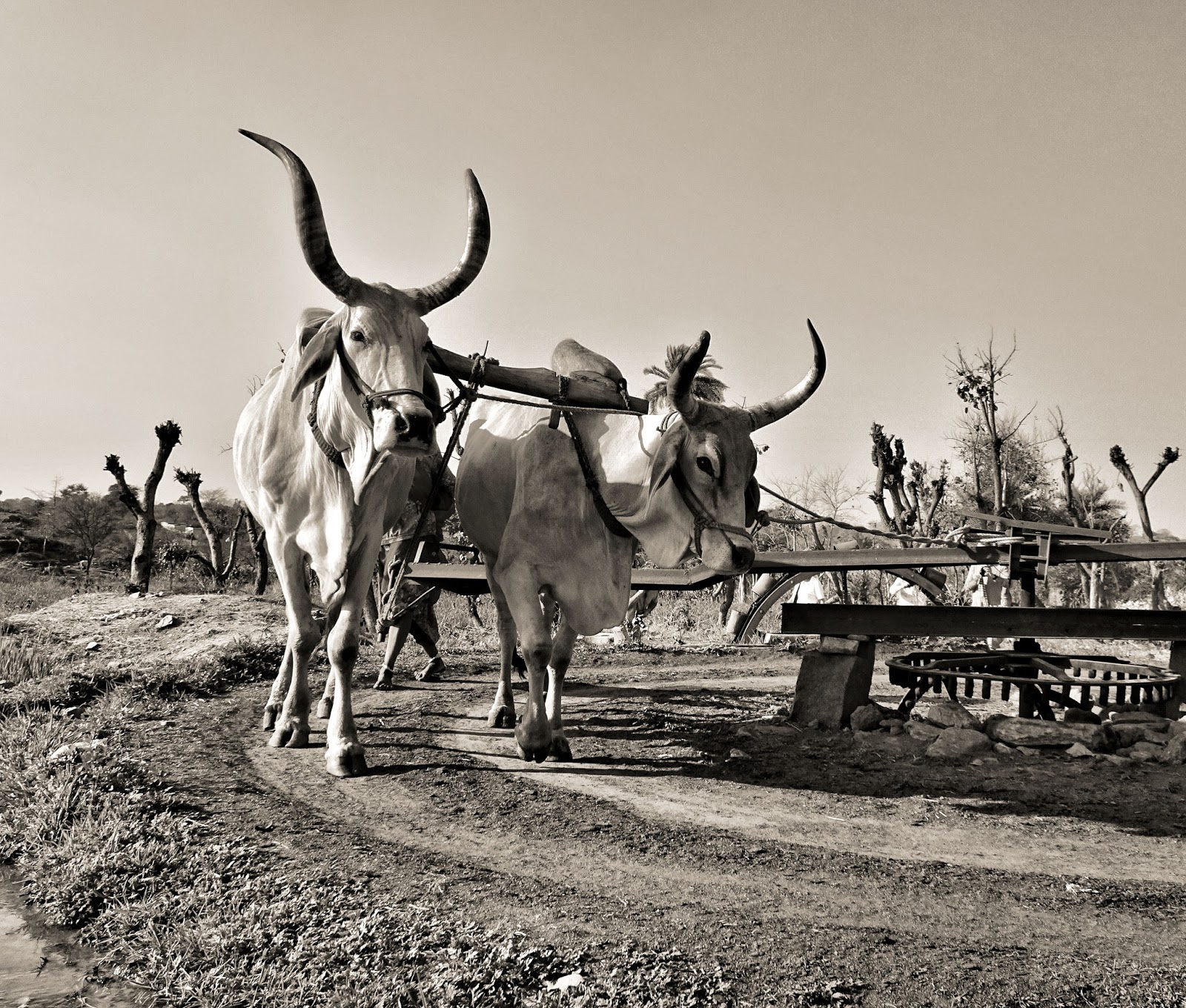The estetic of senses!: "La Roue persane" croisée sur la route vers ...