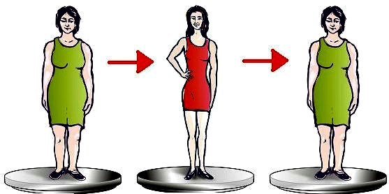 Sanamente Calculado: ¿QUE ES EL EFECTO REBOTE?