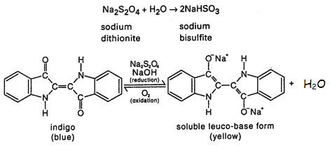 L'indigo : mécanisme de réduction en leuco-indigo