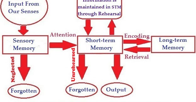 Information Processing Theory Of Dreams