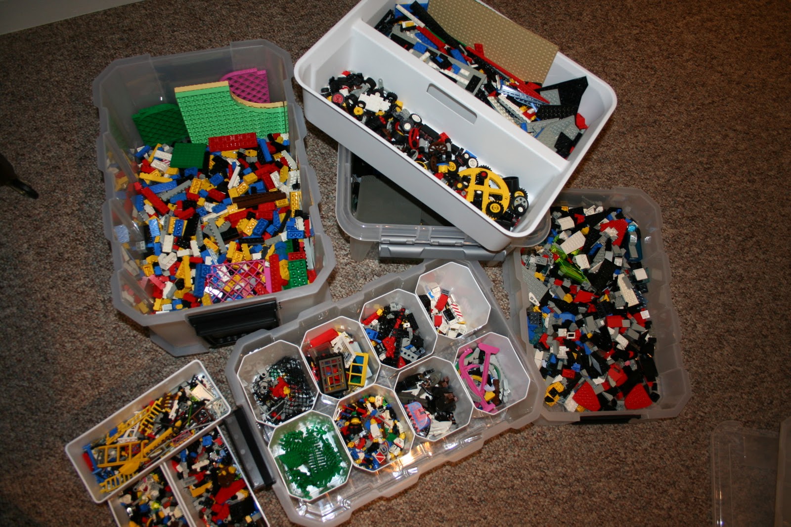 American Honey: Legomania