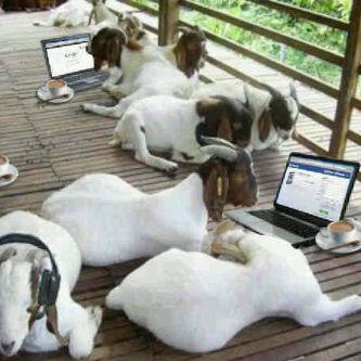 Check It Out !!: Foto-foto Editan Yang Lucu Banget!