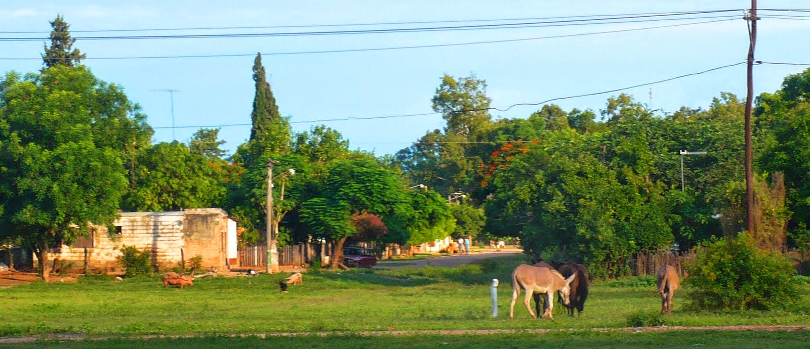 El Talar Jujuy: Elaboracion de bombos legueros en El Talar