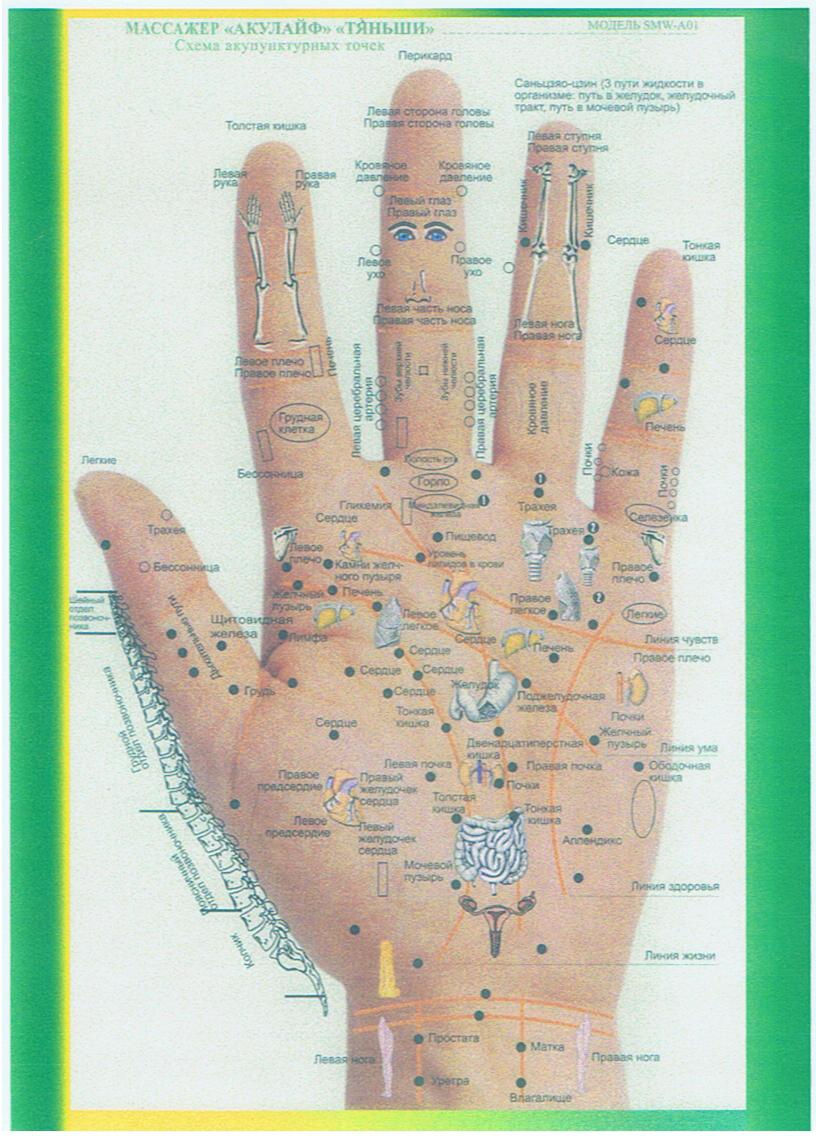 Austrumu zvaigzne: Akcija 50% ierīces "Akulaif" iegādei.