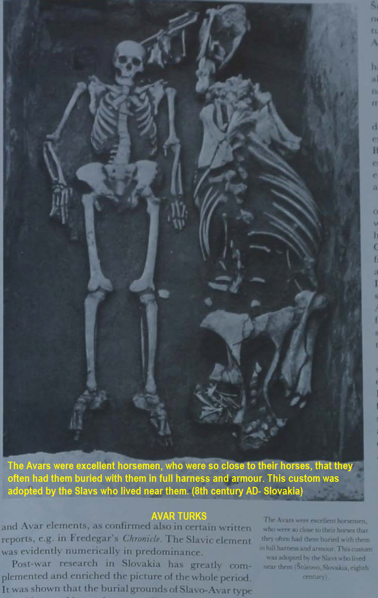 TARİH VE ARKEOLOJİ: Avar Turks