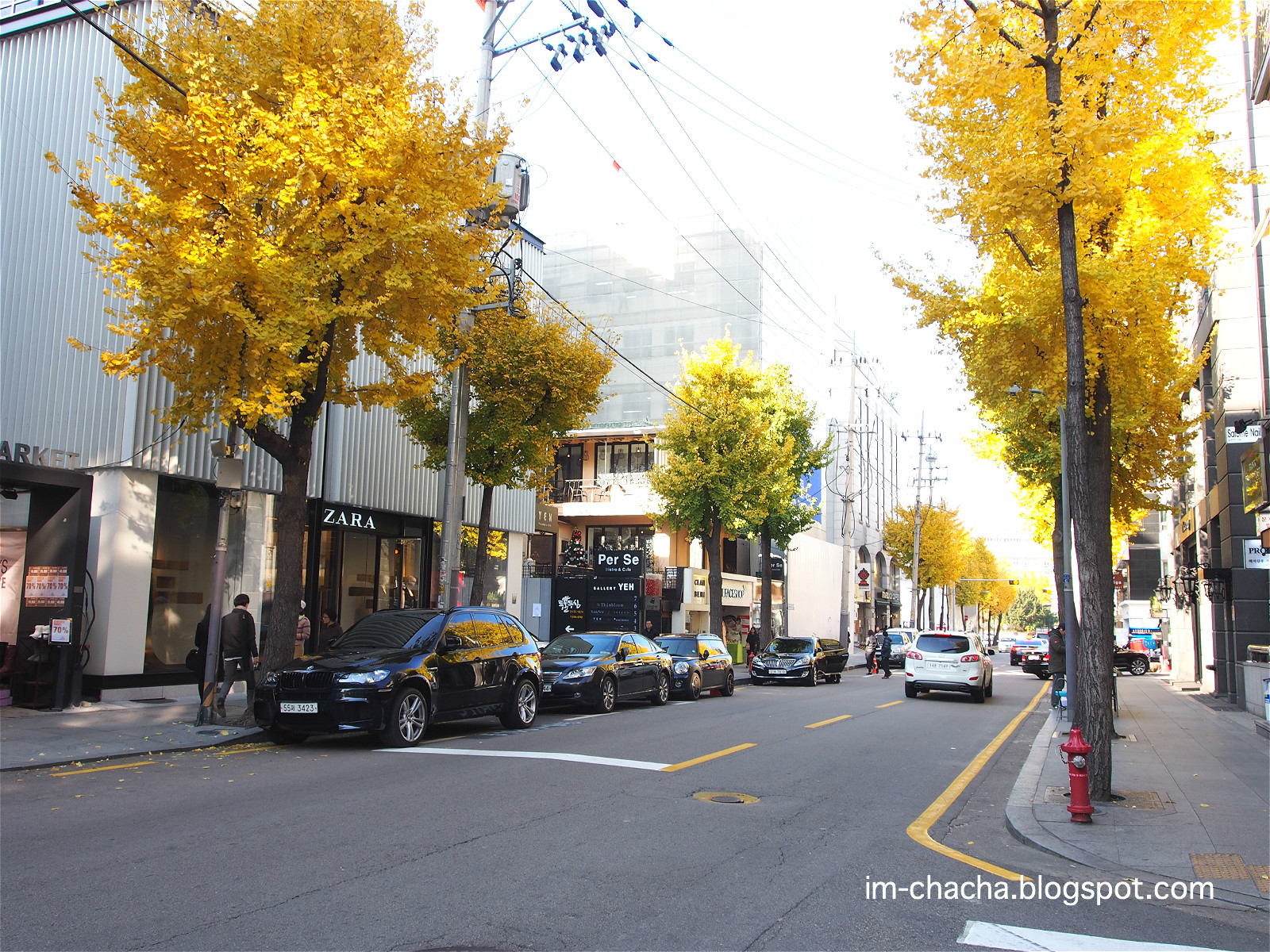 (Seoul) 가로수길 Garosugil , the little Europe in Seoul ~ - Travel ...