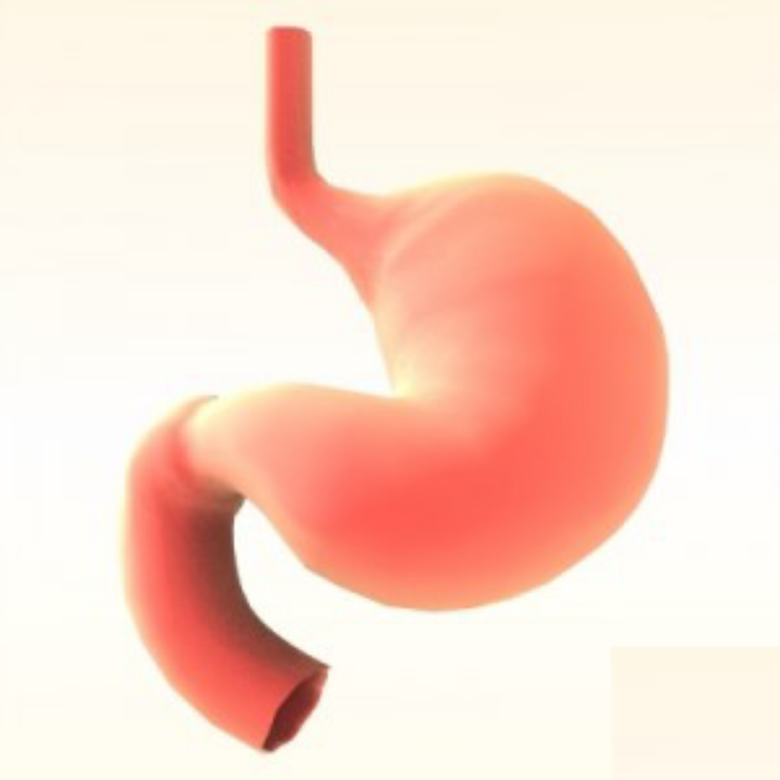 Health Sciences: Gastritis: Causes, Diagnosis, & Treatment - Health ...