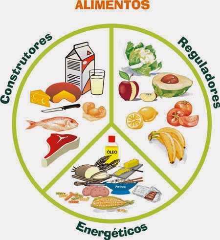 Blog da Nutricionista: Alimentos Construtores, Energéticos e ...