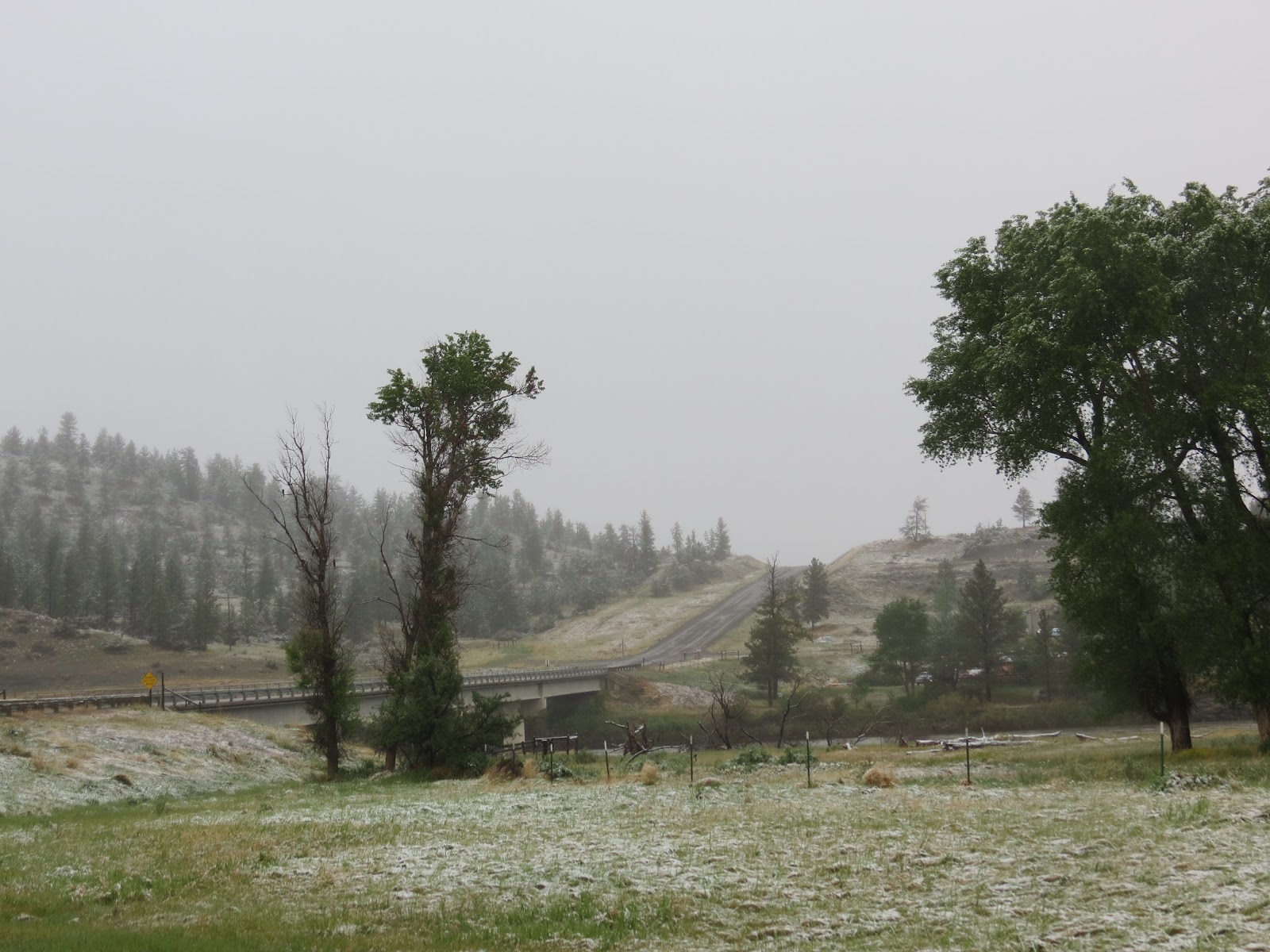 Where's Liz-2012?: Reed Point, Montana