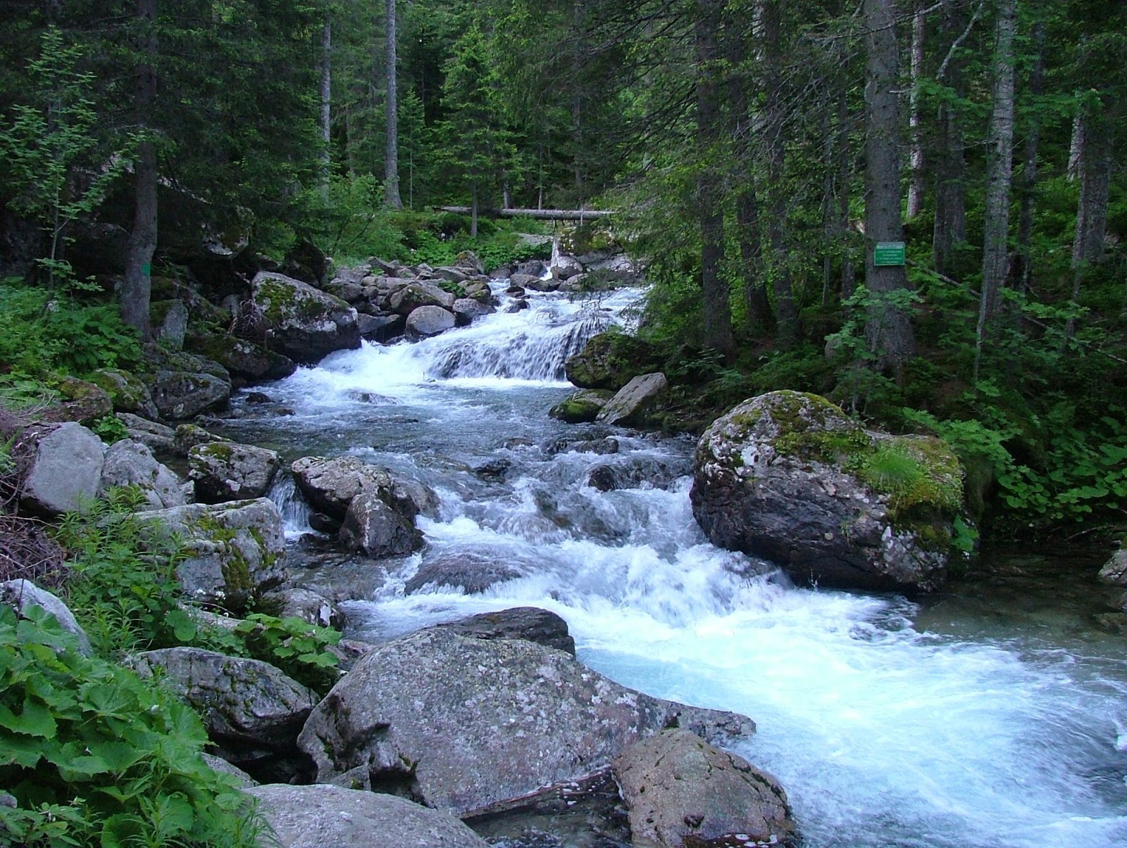 Gioire in Musica: A somiglianza di un ruscello....